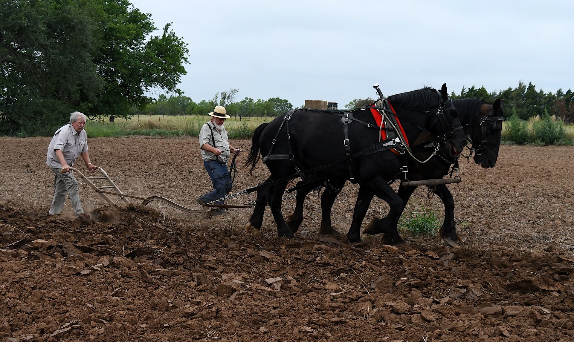 Horsepower and horse power on display at Yoder Heritage Day – The ...