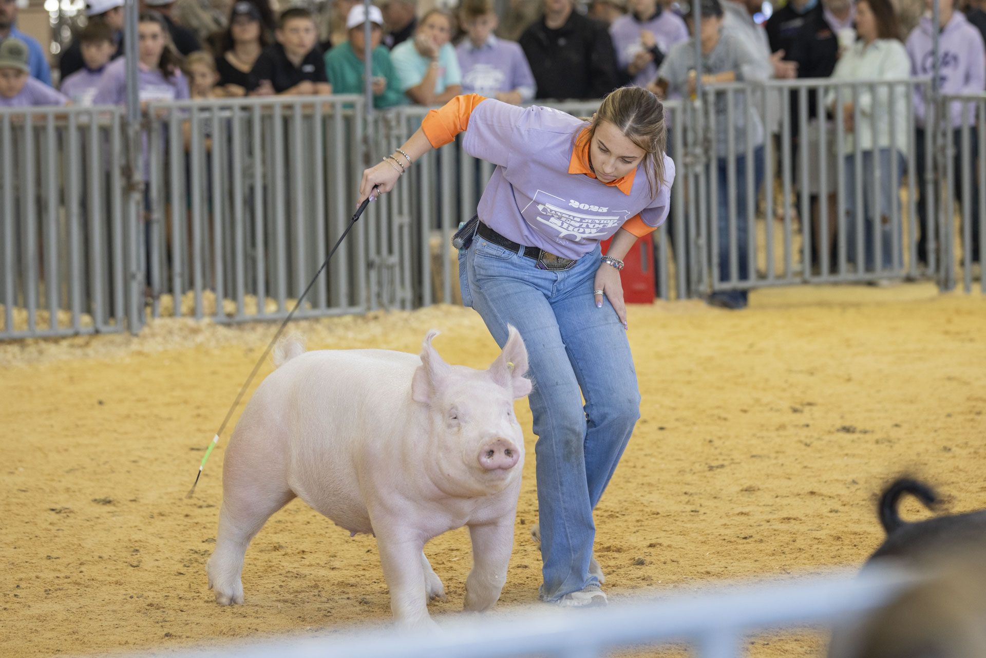 Local youths win awards at Kansas Junior Livestock Show – The ...