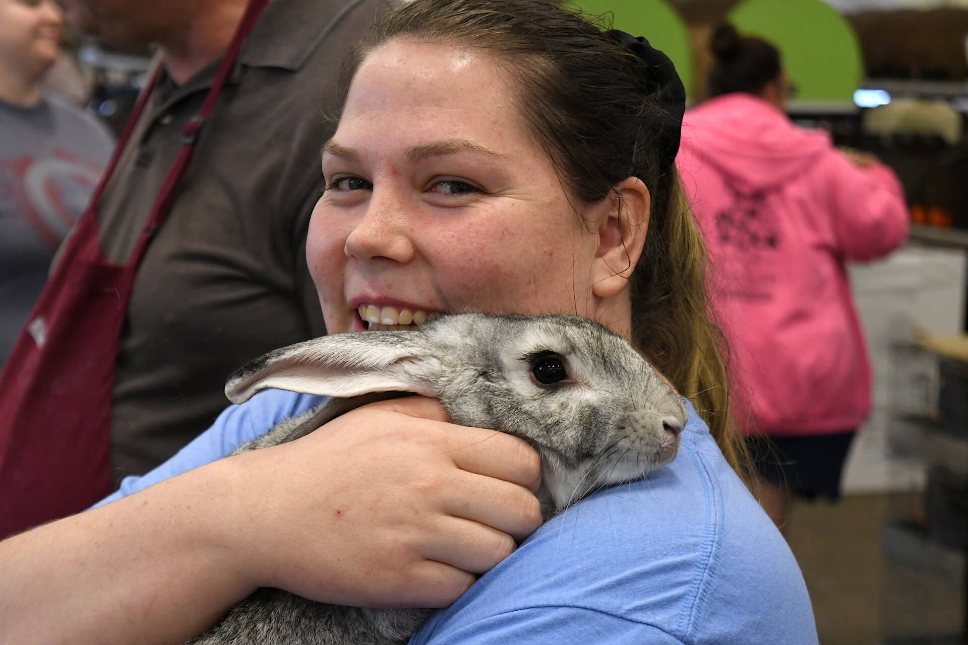Rabbits offer lower barrier to raising animals – The Hutchinson Tribune