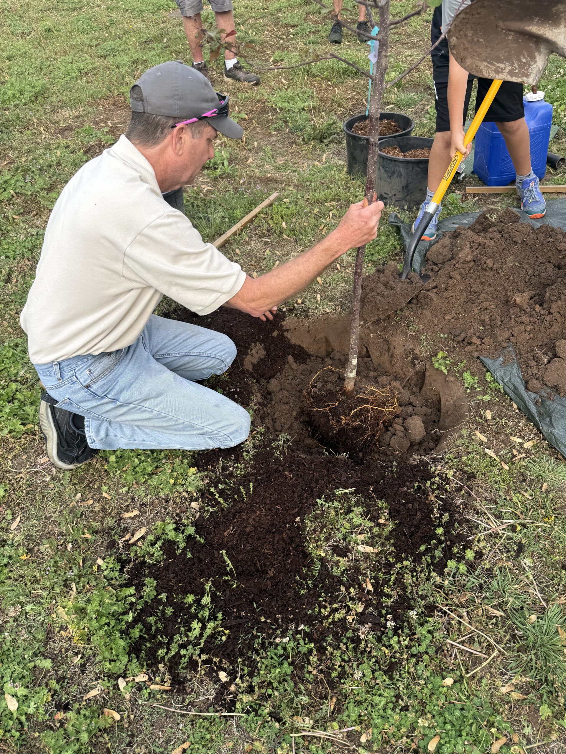 Haven fourth-graders plant a tree for Arbor Day – The Hutchinson Tribune